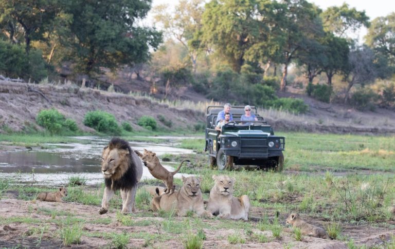 MalaMala Sable Camp - Sabi Sands Game Reserves